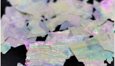 CONCHA NACAR – Nails Shop Mexico